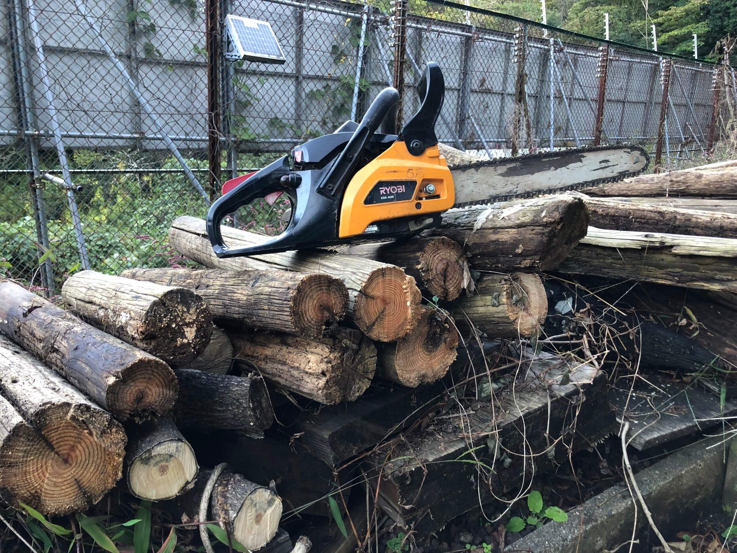 【Tenagram & YakTok】サトウキビと類人猿とたき火の準備 – 飼育の部屋