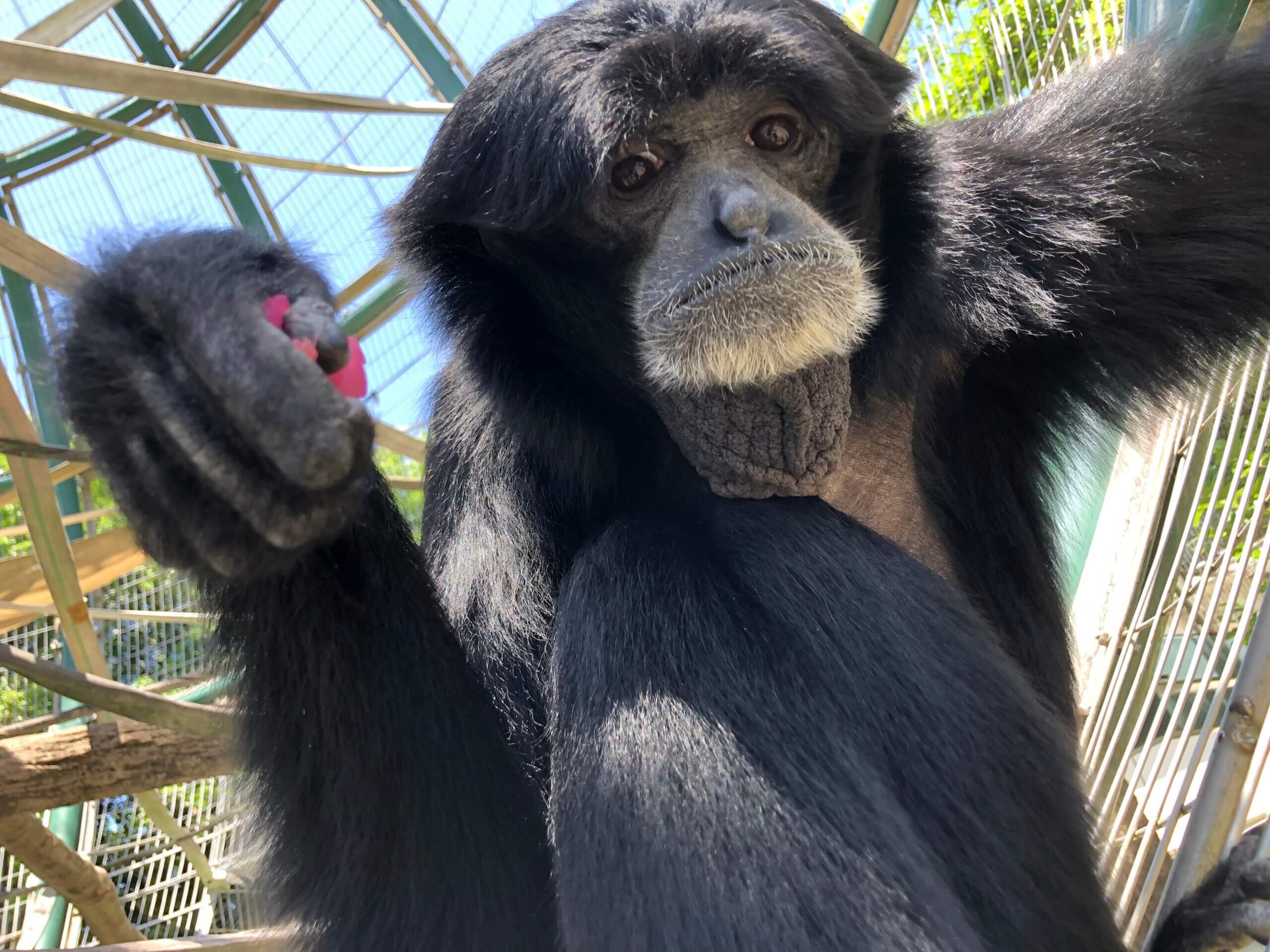 【Tenagram】引っ越し準備その② – 飼育の部屋