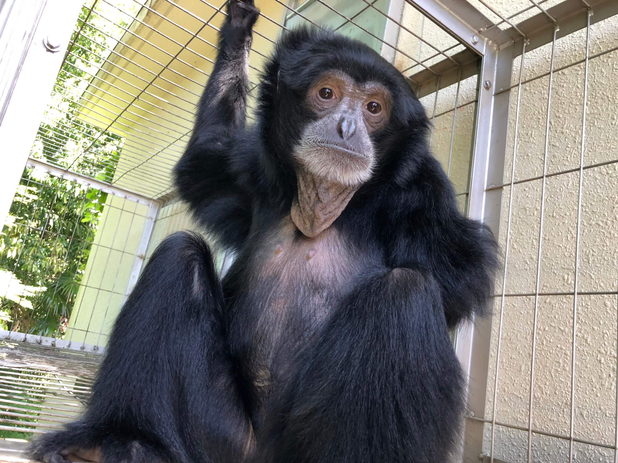 【Tenagram】引っ越し準備その④ – 飼育の部屋