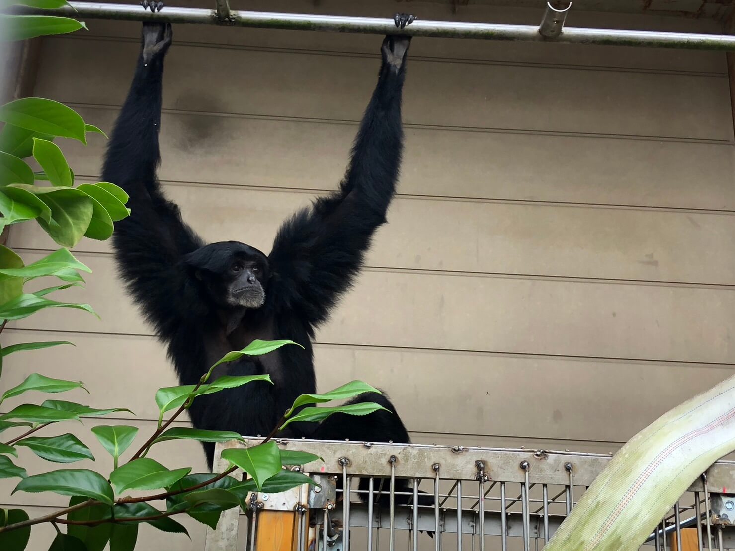 【Tenagram】引っ越し準備その④ – 飼育の部屋