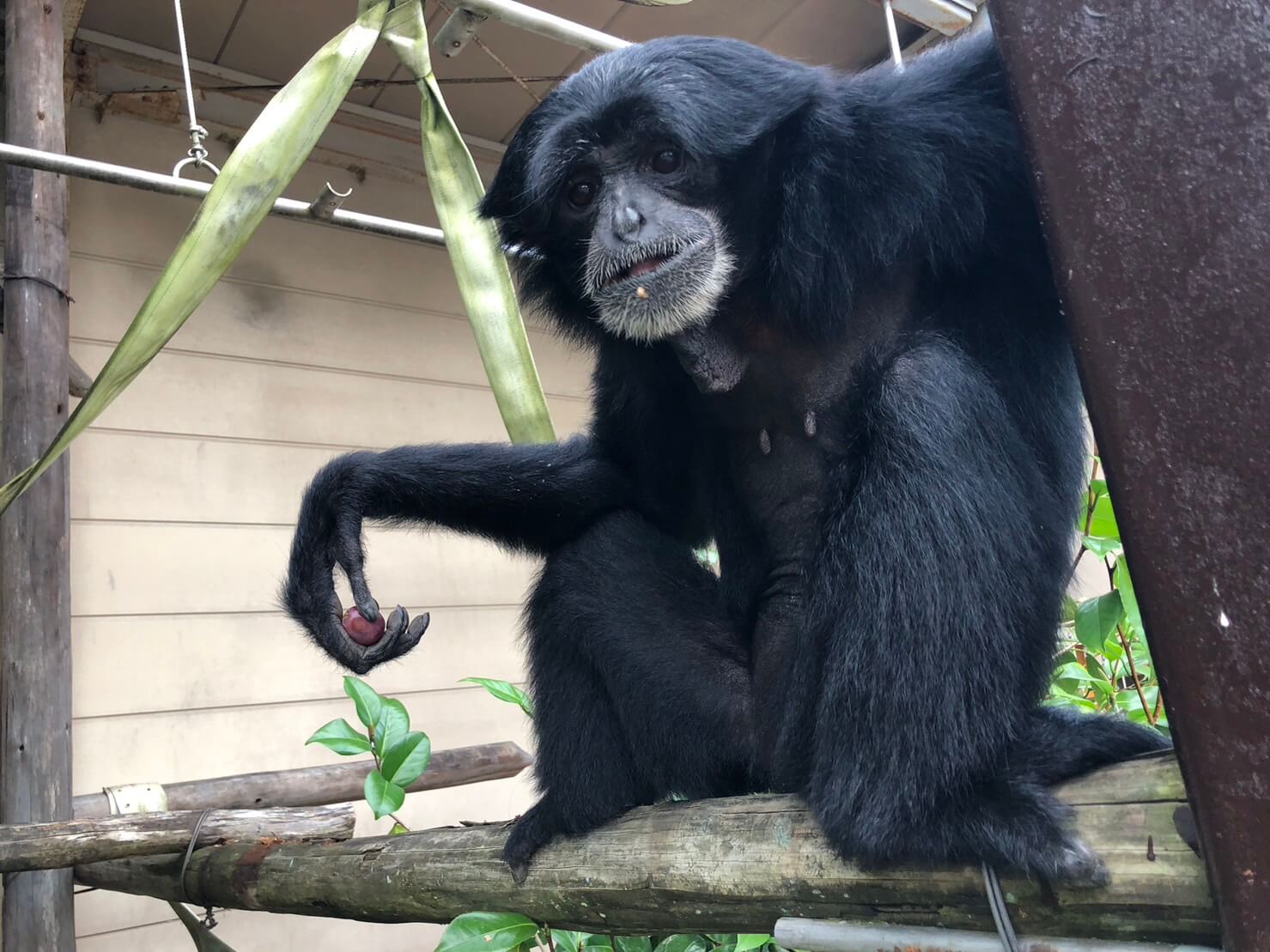 【Tenagram】引っ越し準備その④ – 飼育の部屋
