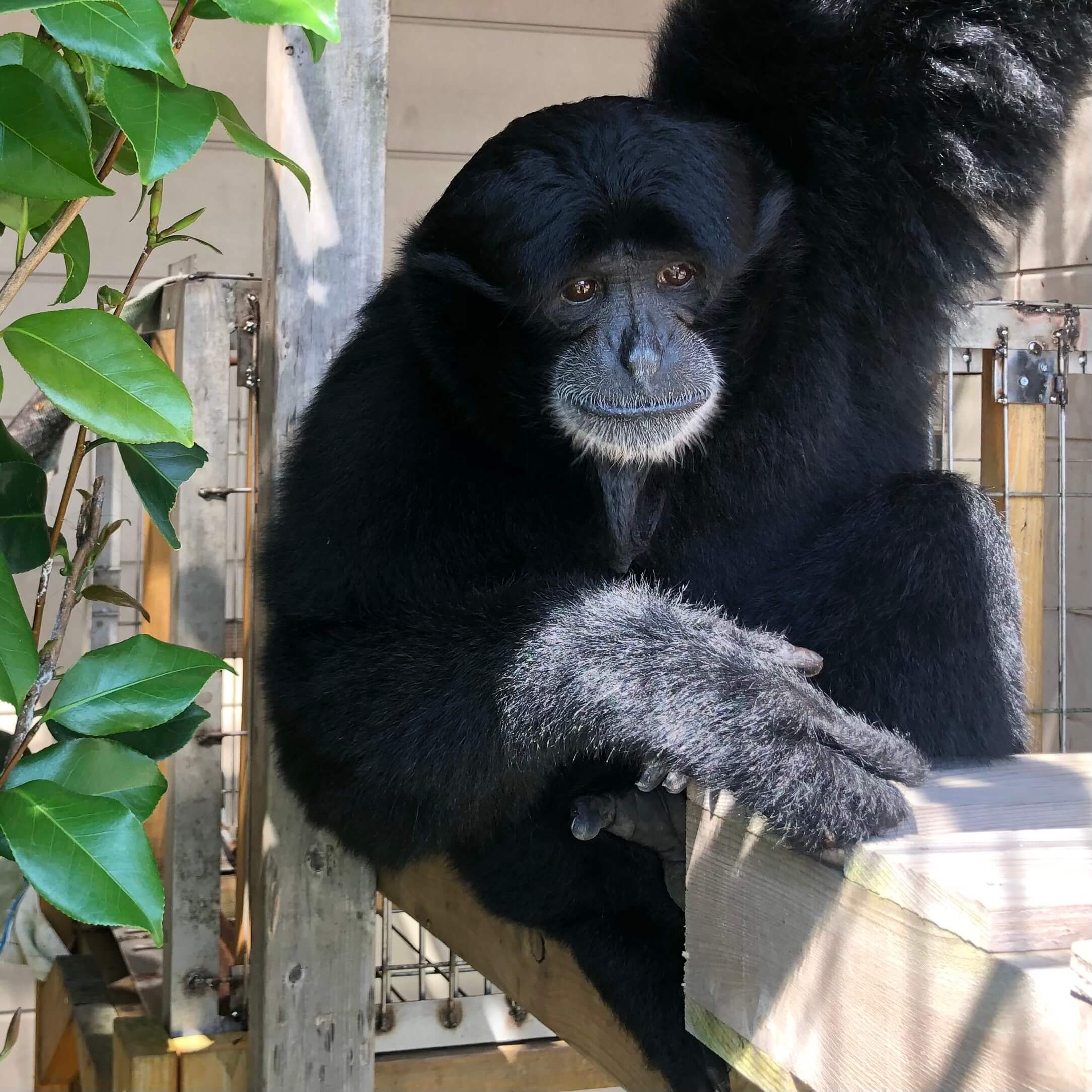 【Tenagram】フィーダーは2つ以上つけること！ – 飼育の部屋